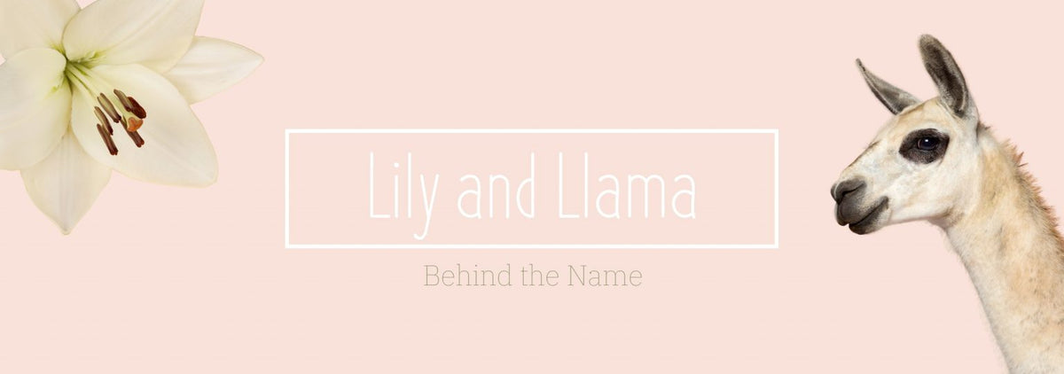 Lily And Llama: Behind The Name – Lily + Llama